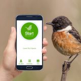 eBird – COBM
